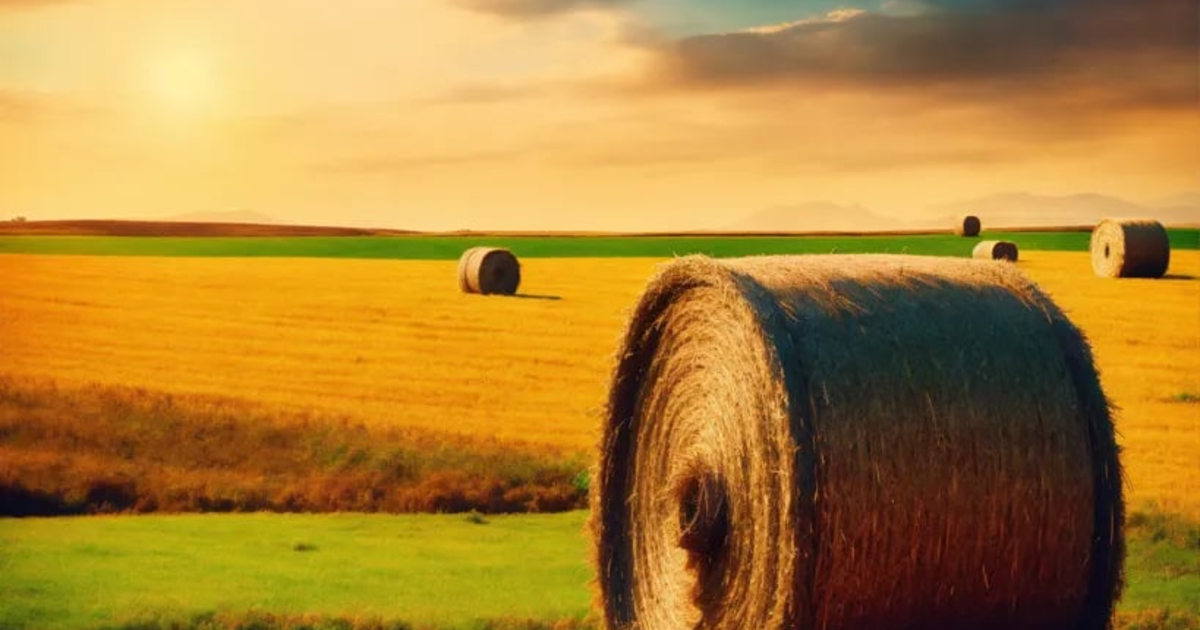 Lexica - Small Hay bale, western style in a field, high-quality fantasy ...