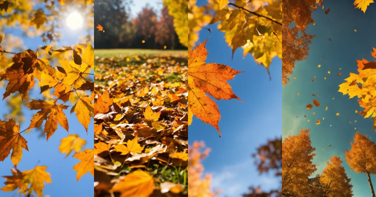 Lexica - Falling autum leaves from the sky