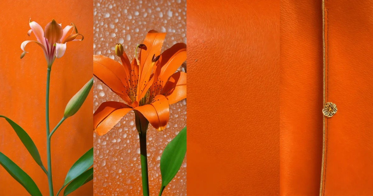 Lexica - Dard orange leather with lily of florence