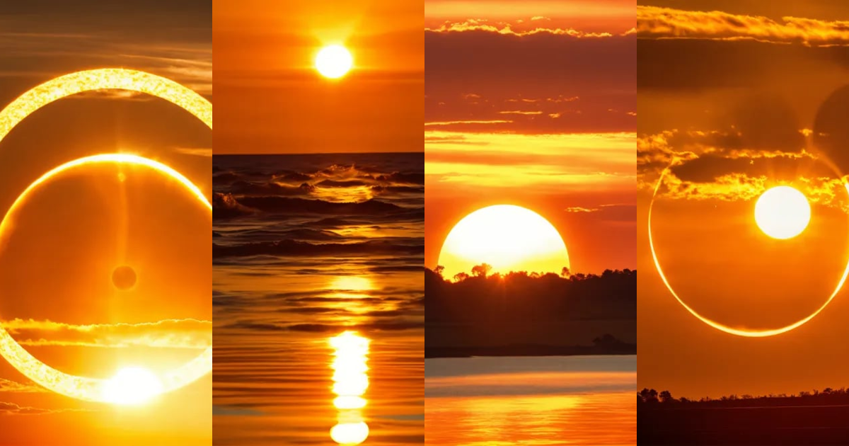 Lexica - Golden sunset. horizon. the sun is massive. super zoom in on ...